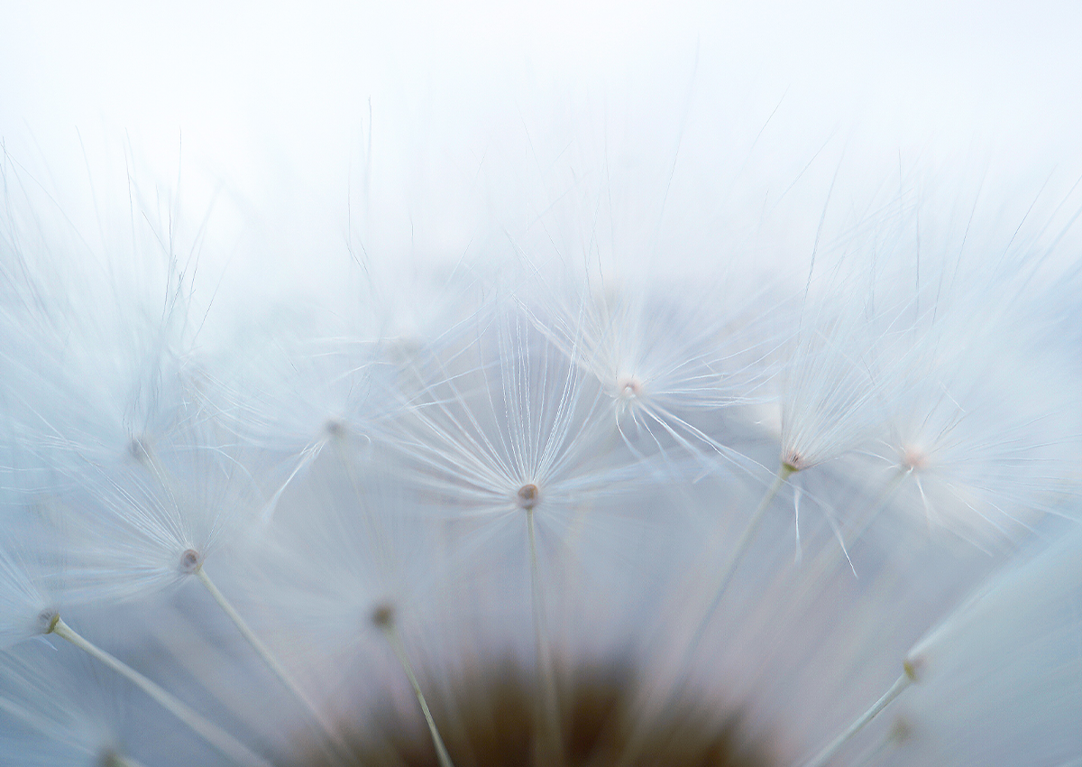 Tensegrity® e Magical Passes® - Accompagnamento Biodinamico